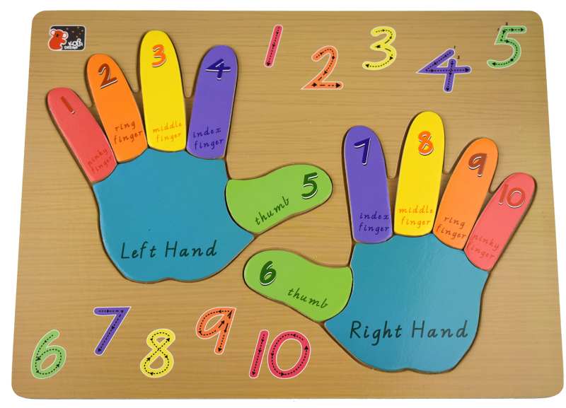 Counting Fingers Hands Wooden Puzzle - My Wooden Toys